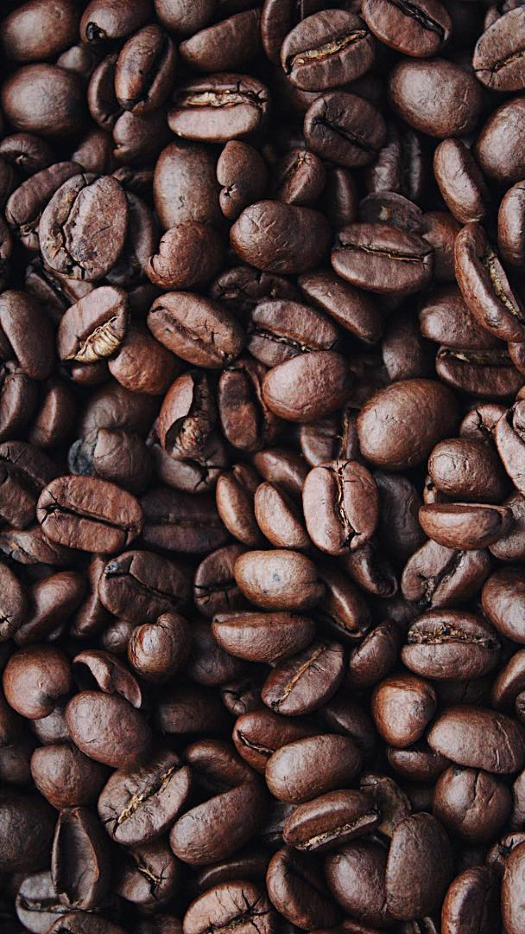 Dark – Road Roaster Coffee